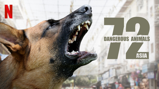 72 Dangerous Animals: Asia (2018) - Netflix | Flixable